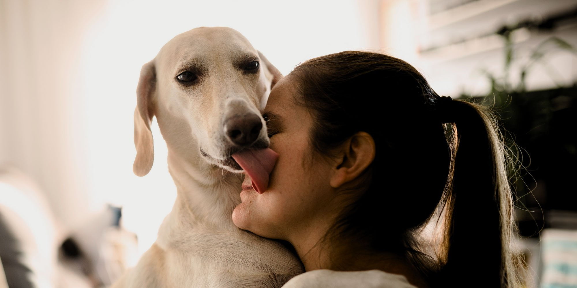 Supporting the community - SPCA de Montréal