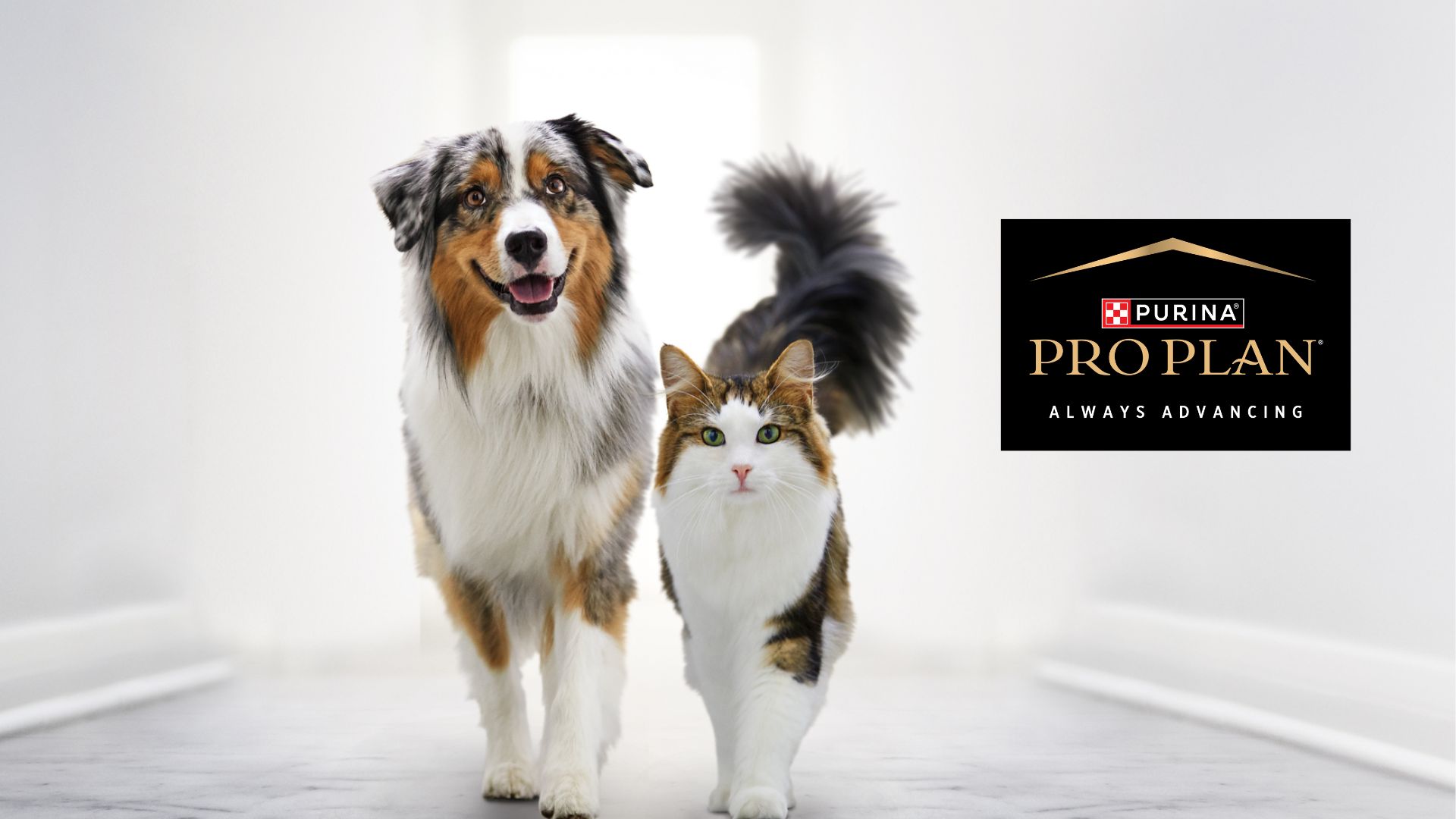 FEEDING HOPE WITH PURINA® PRO PLAN® - SPCA de Montréal